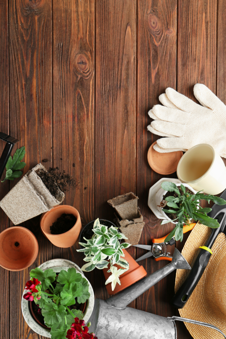 50 Indoor Hobbies To Do At Home