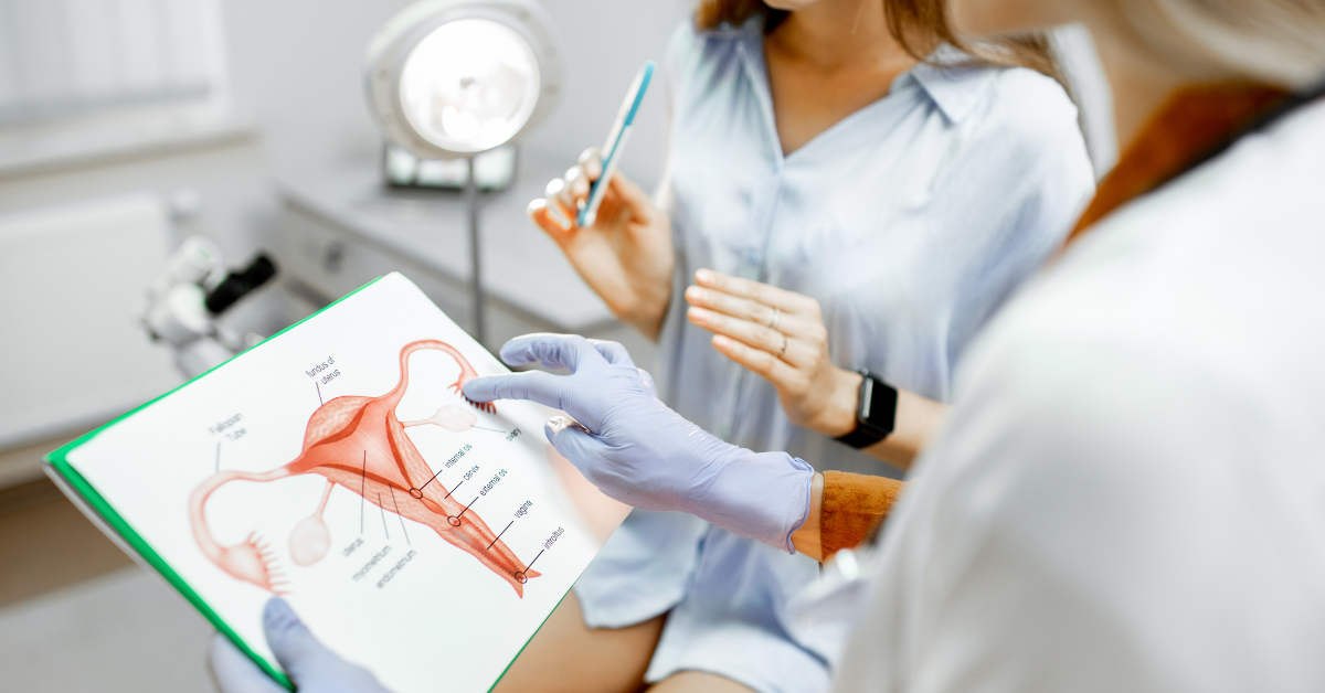 Everything You Ever Wanted To Know About An HSG