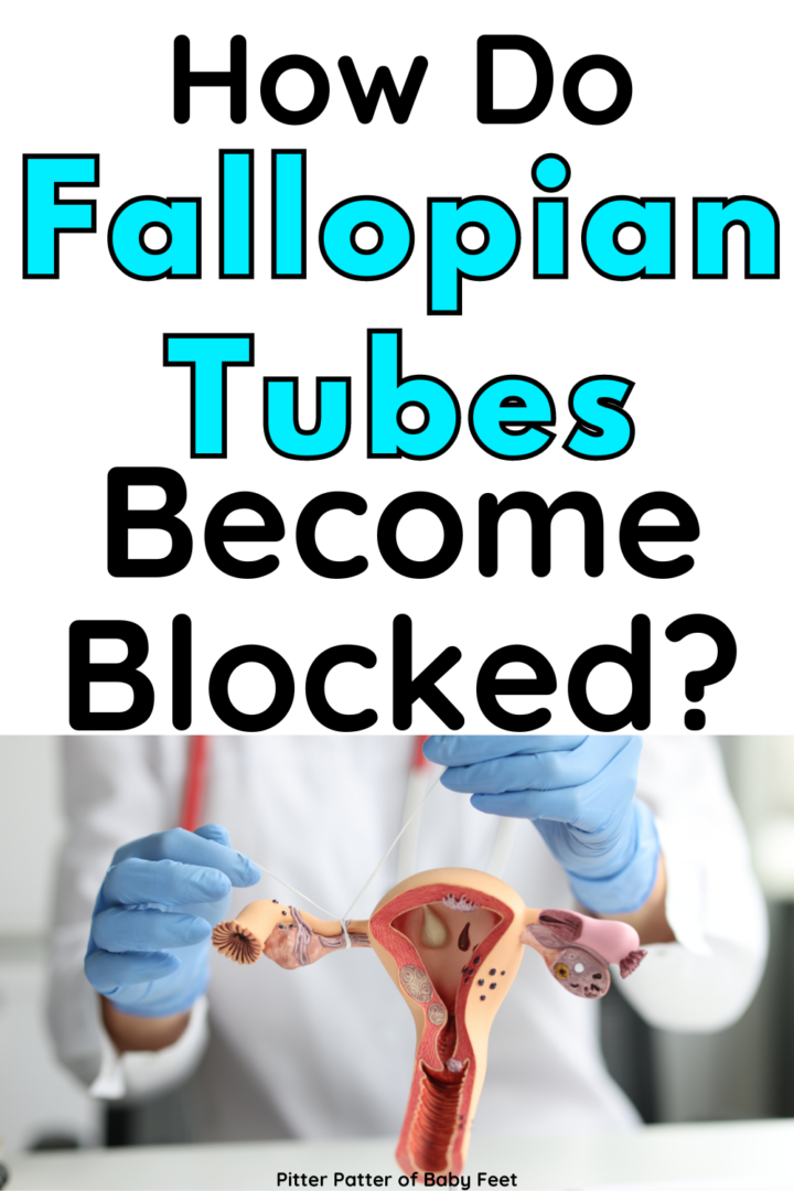 How Do Fallopian Tubes Get Blocked? Causes And Prevention